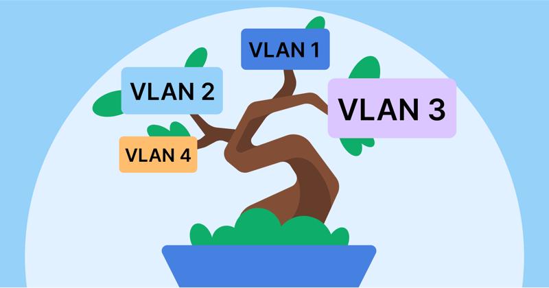 What is a VLAN? Virtual LANs explained | NordVPN