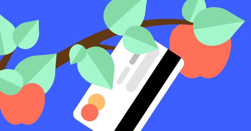 Is Apple Pay safe? Is it safer than using physical cards? | NordVPN