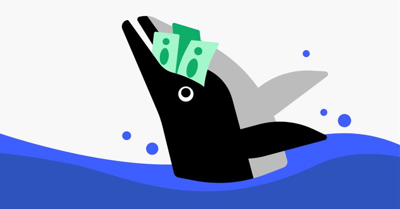 Che cos'è il whale phishing: definizione e prevenzione | NordVPN